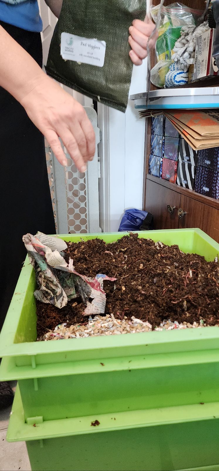 Starting a new worm composter. – This is where it starts